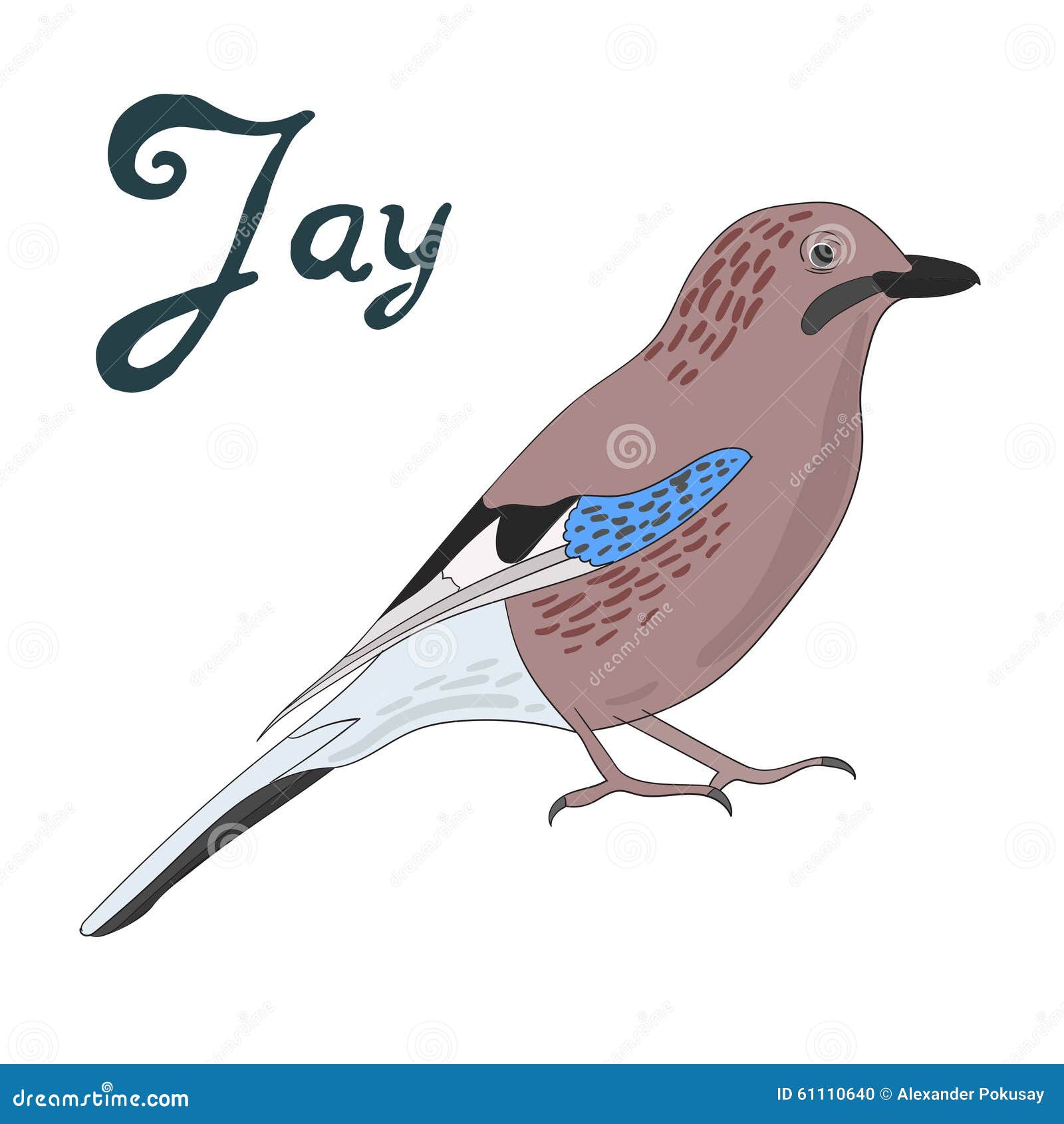 Bird Jay Vector Illustration Stock Vector - Illustration of flying ...