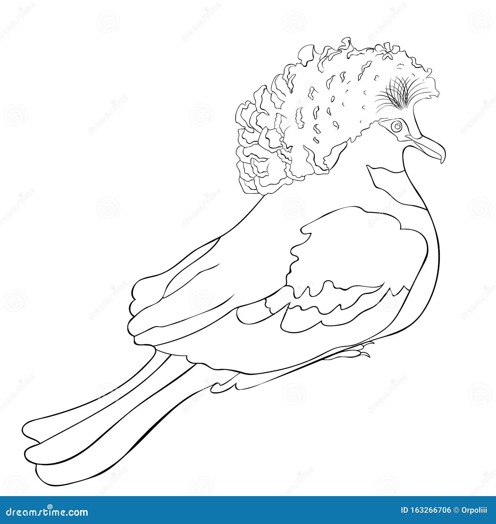 Bird King Crown Vector Logo | CartoonDealer.com #249634900
