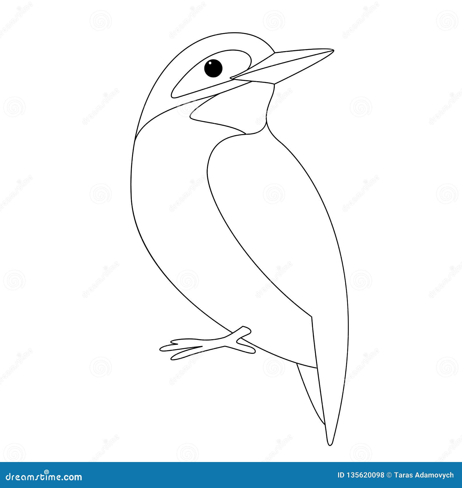 Bird Kingfisher, Vector Illustration , Lining Draw, Stock Vector ...