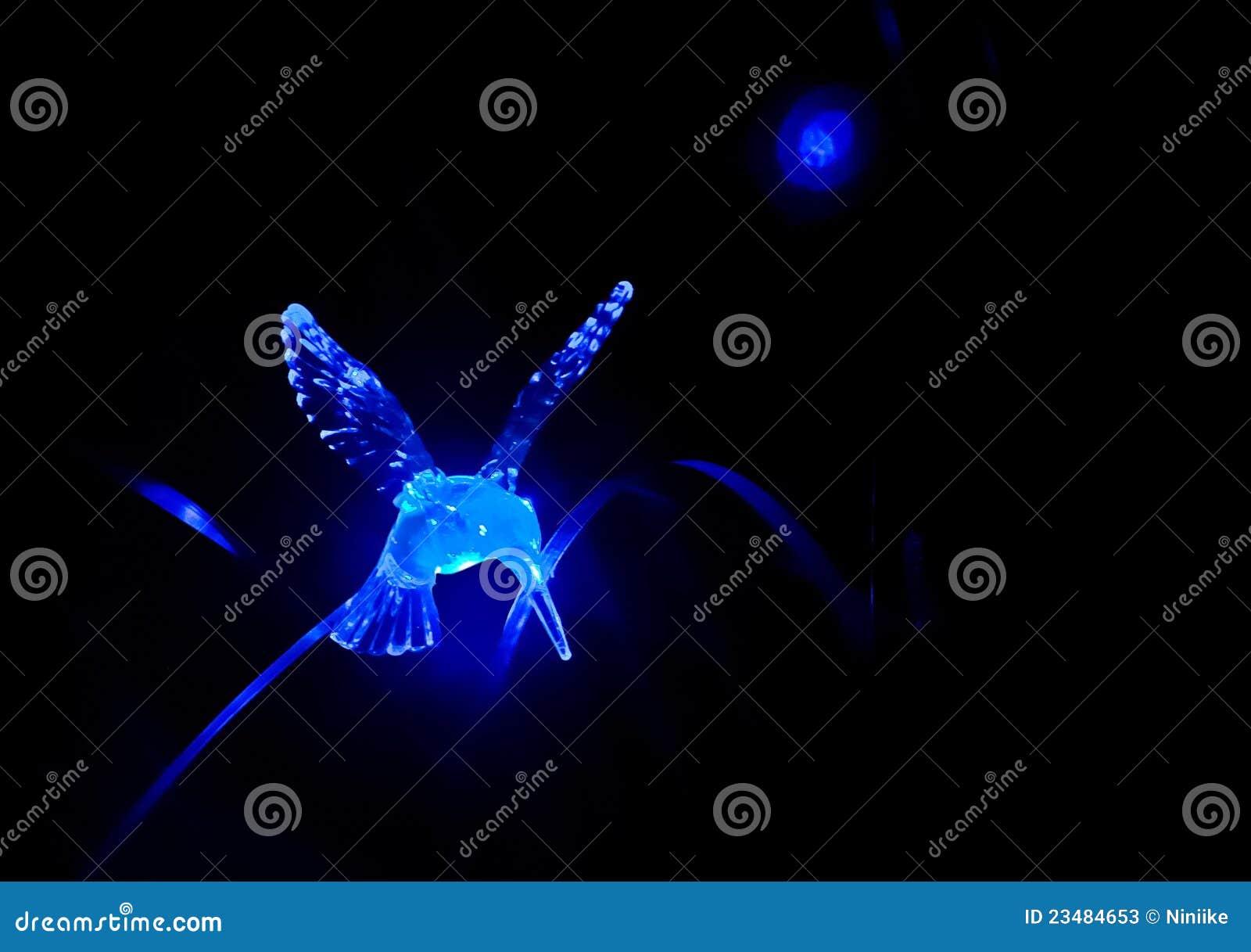 Bird in light blue stock image. Image of glow, black - 23484653