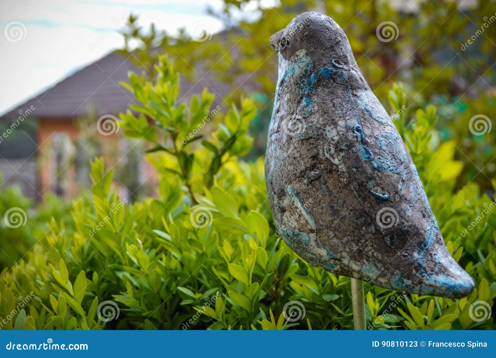 Bird looking far stock image. Image of italy, flowers - 90810123