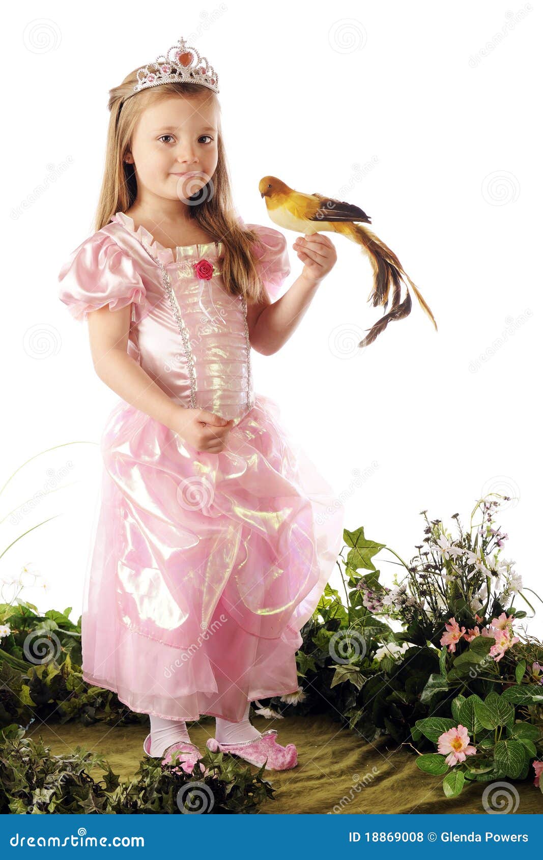Bird-Loving Princess stock photo. Image of pretending - 18869008