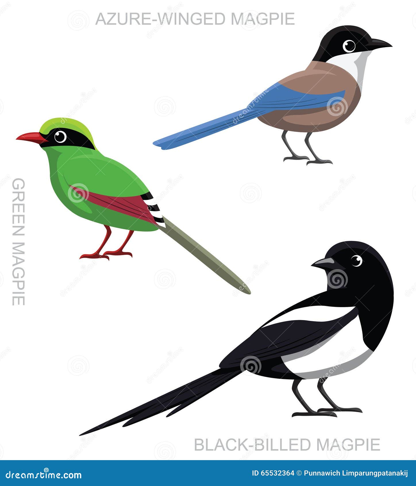 Bird Magpie Set Cartoon Vector Illustration Stock Vector - Illustration ...