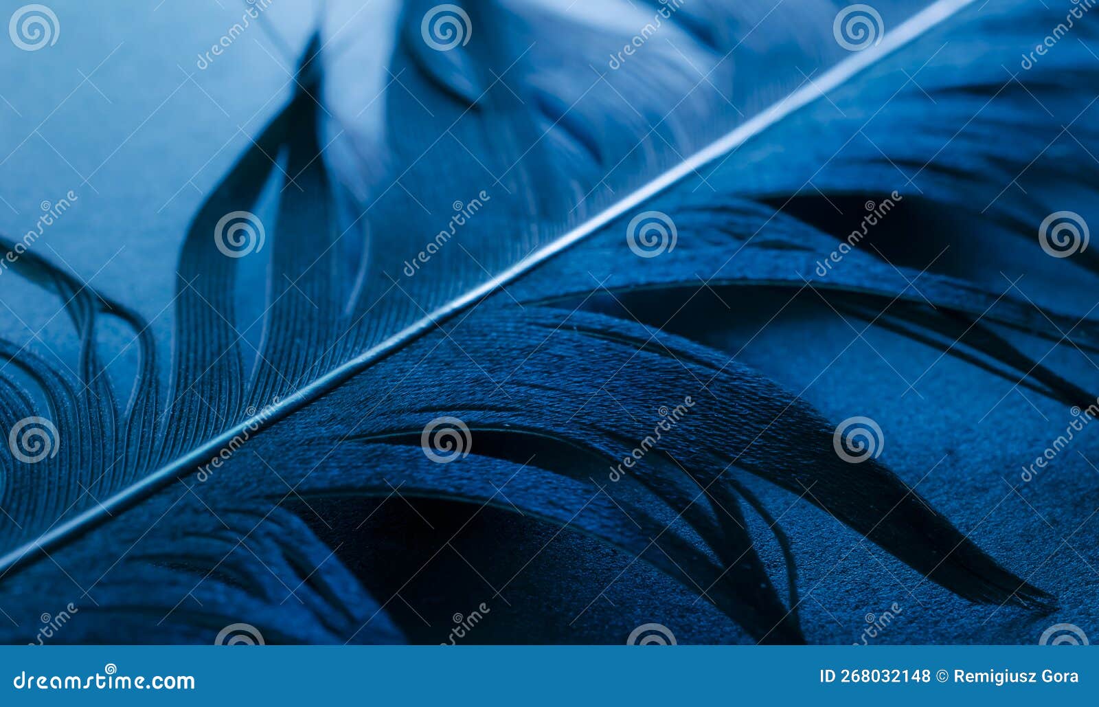 Bird Magpies Feather, Background or Teksture Stock Photo - Image of ...