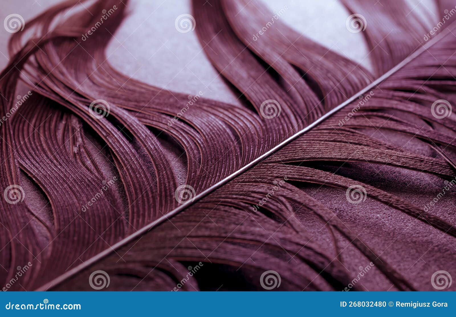 Bird Magpies Feather, Background or Teksture Stock Photo - Image of ...