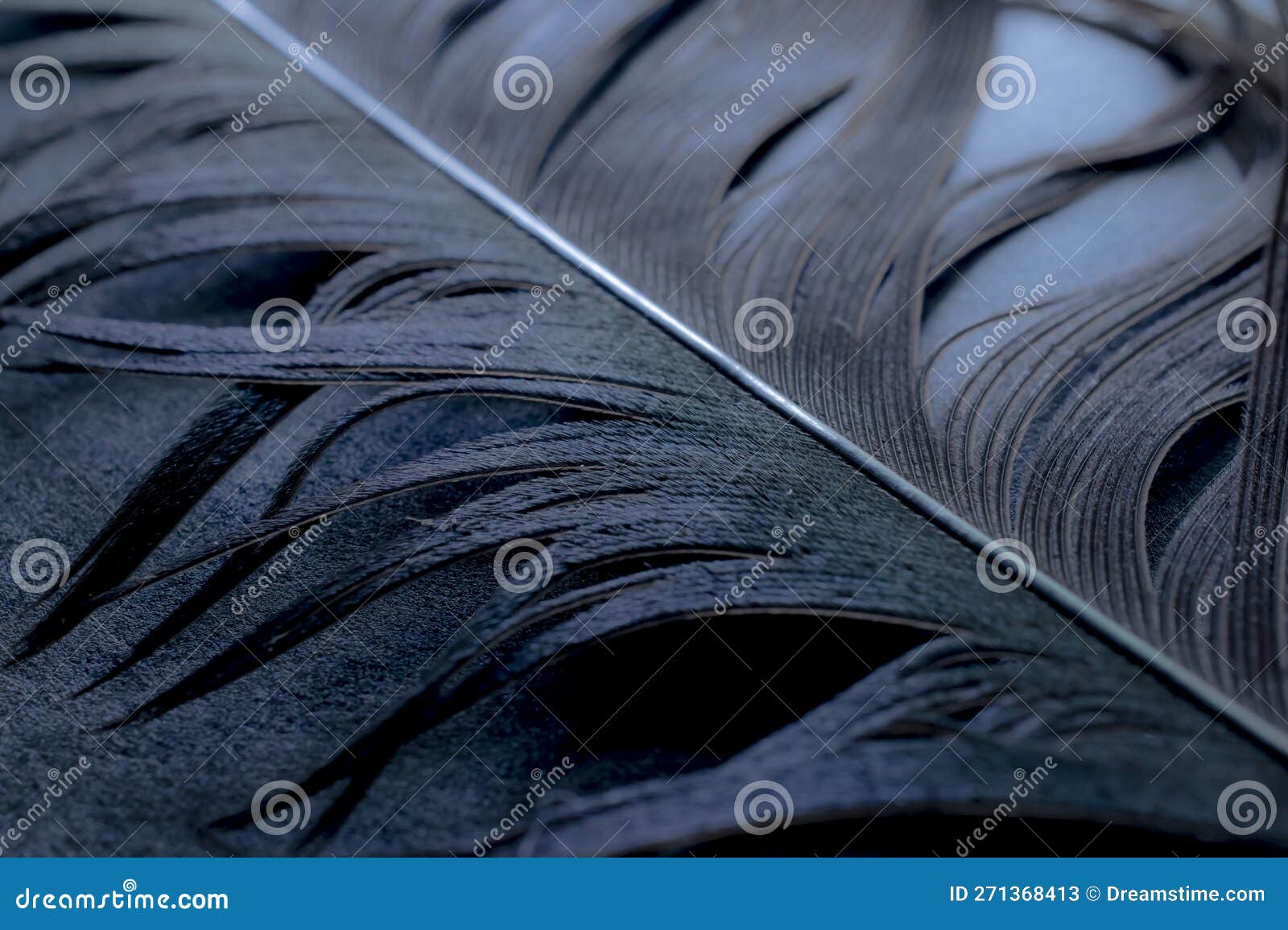 Bird Magpies Feather, Background or Teksture Stock Image - Image of ...