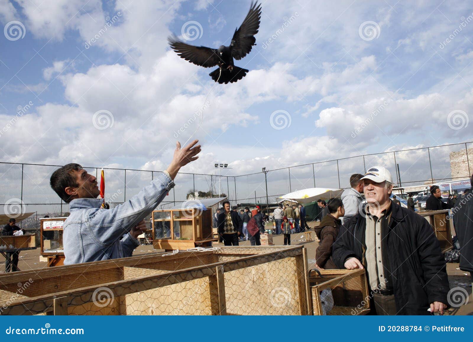 Bird Market editorial stock image. Image of historic - 20288784