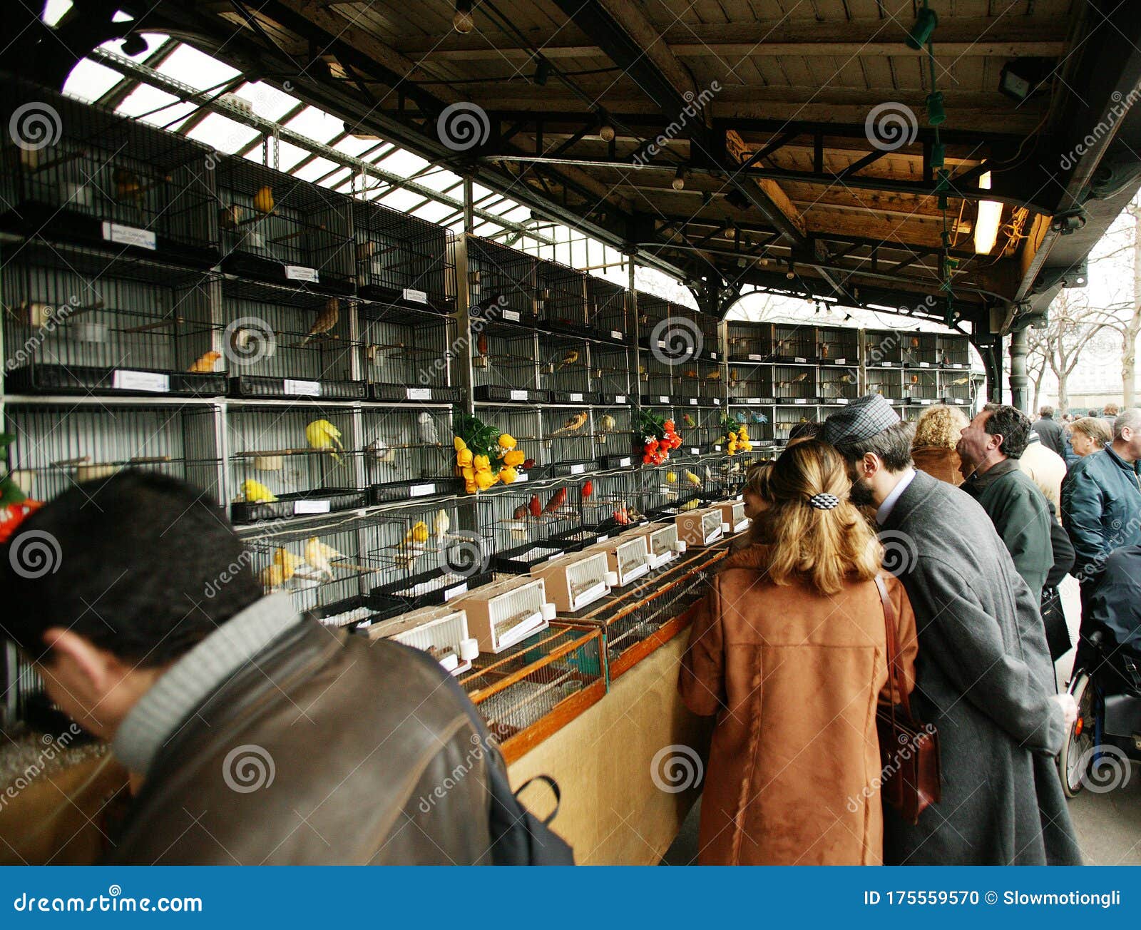 The Bird Market, Ile De La Cite in Paris Editorial Image - Image of ...
