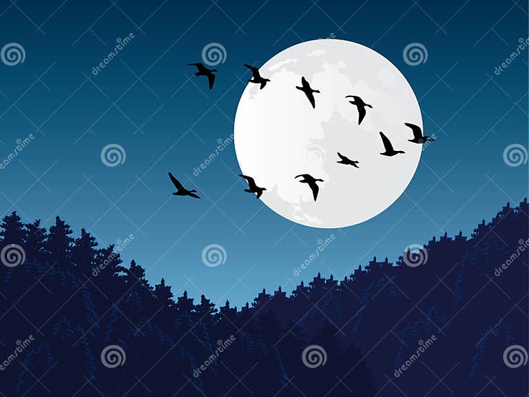 Bird migration stock vector. Illustration of dark, graphic - 14041012