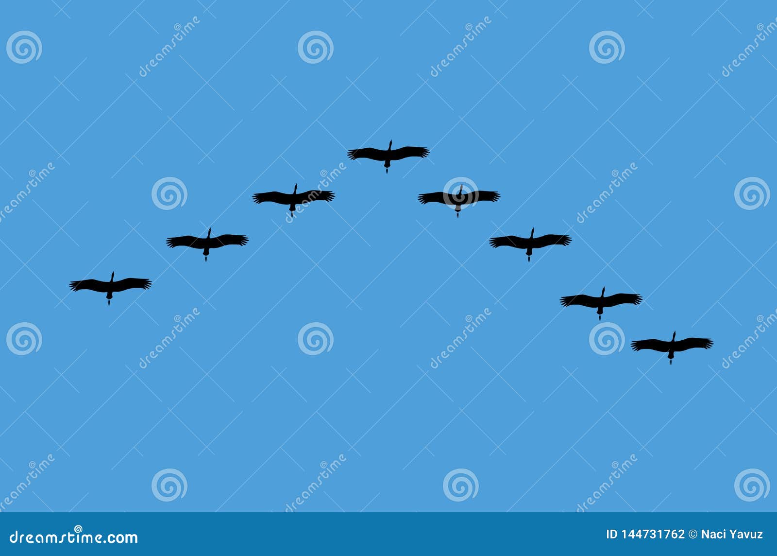 Bird Migration on Blue Sky, Illustration Vector Stock Vector ...