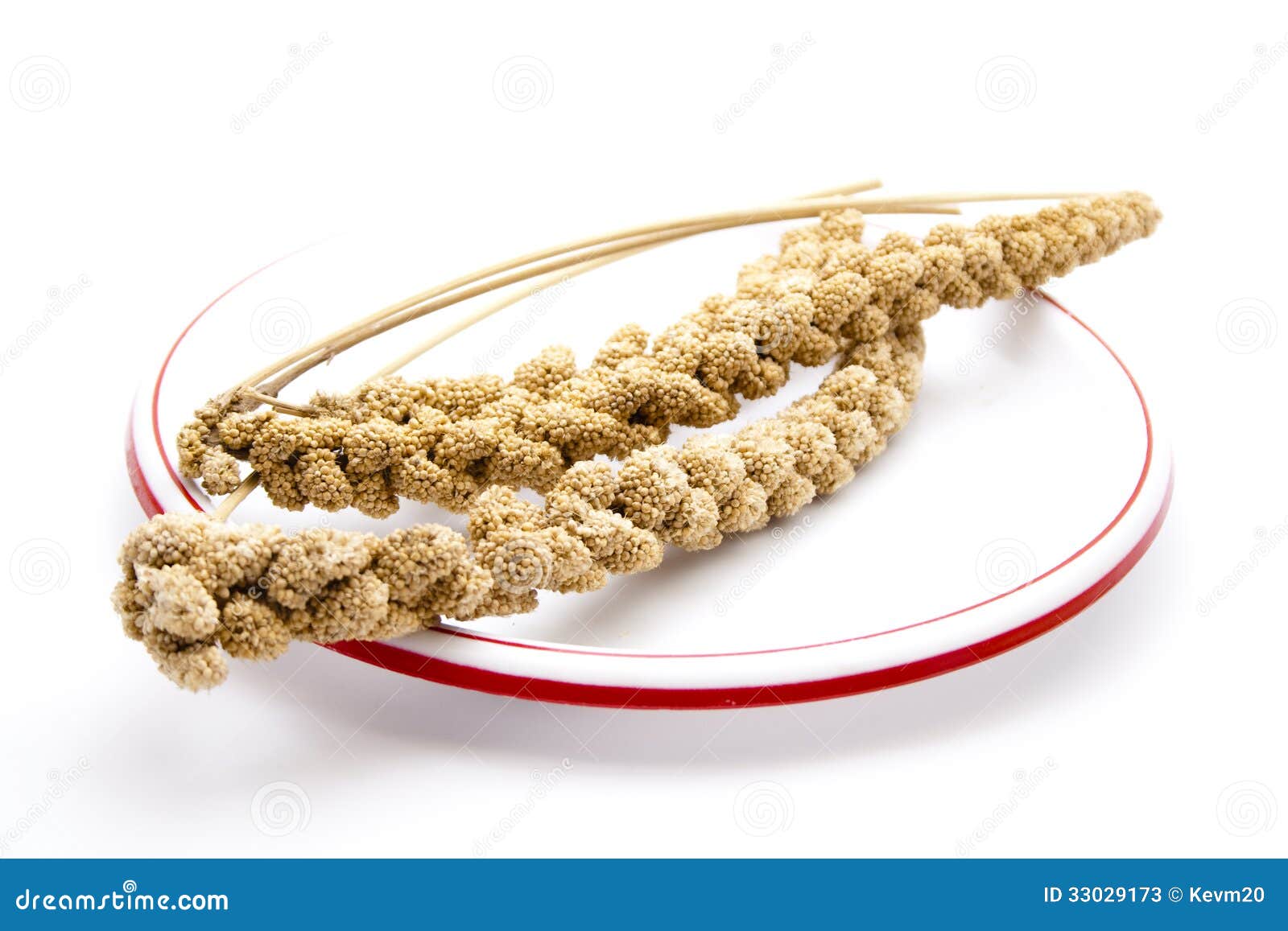 Bird Millet for eating stock image. Image of eating, white - 33029173