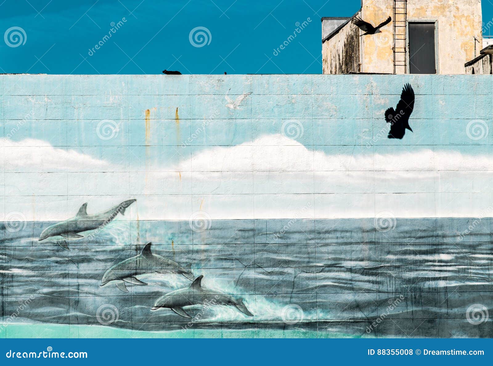 Bird in motion editorial stock photo. Image of miami - 88355008