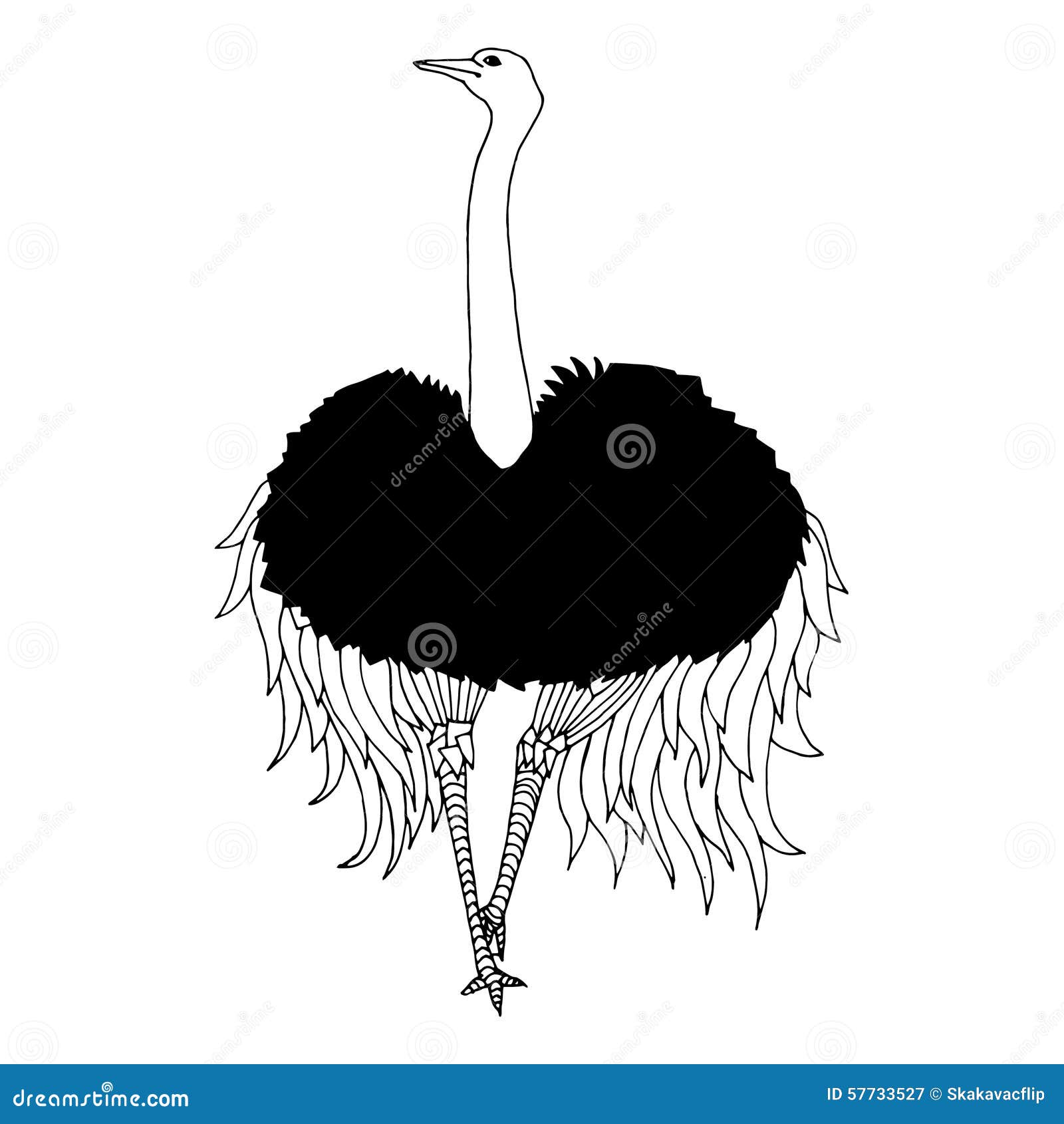 Bird named Greater Rhea stock vector. Illustration of rhea - 57733527