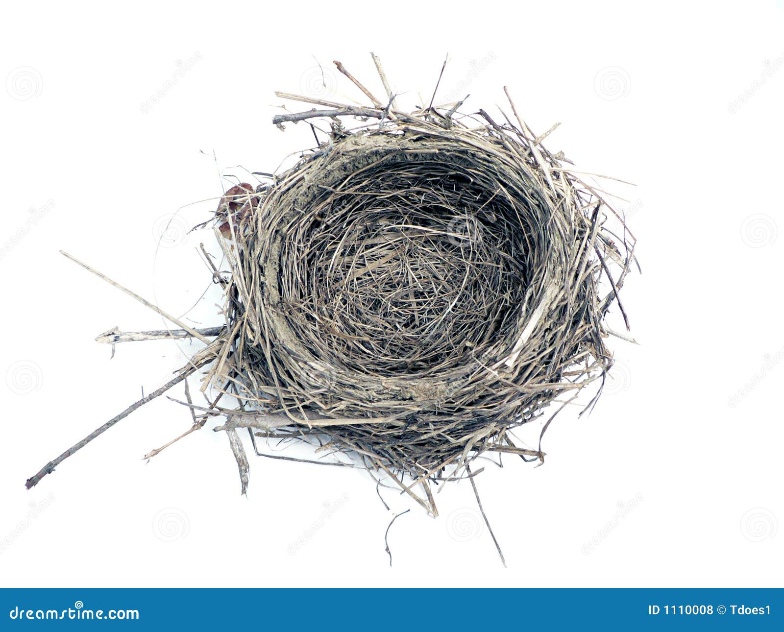 The Bird's Nest Is On The Base Of 115kV Earthing Switch Royalty-Free ...