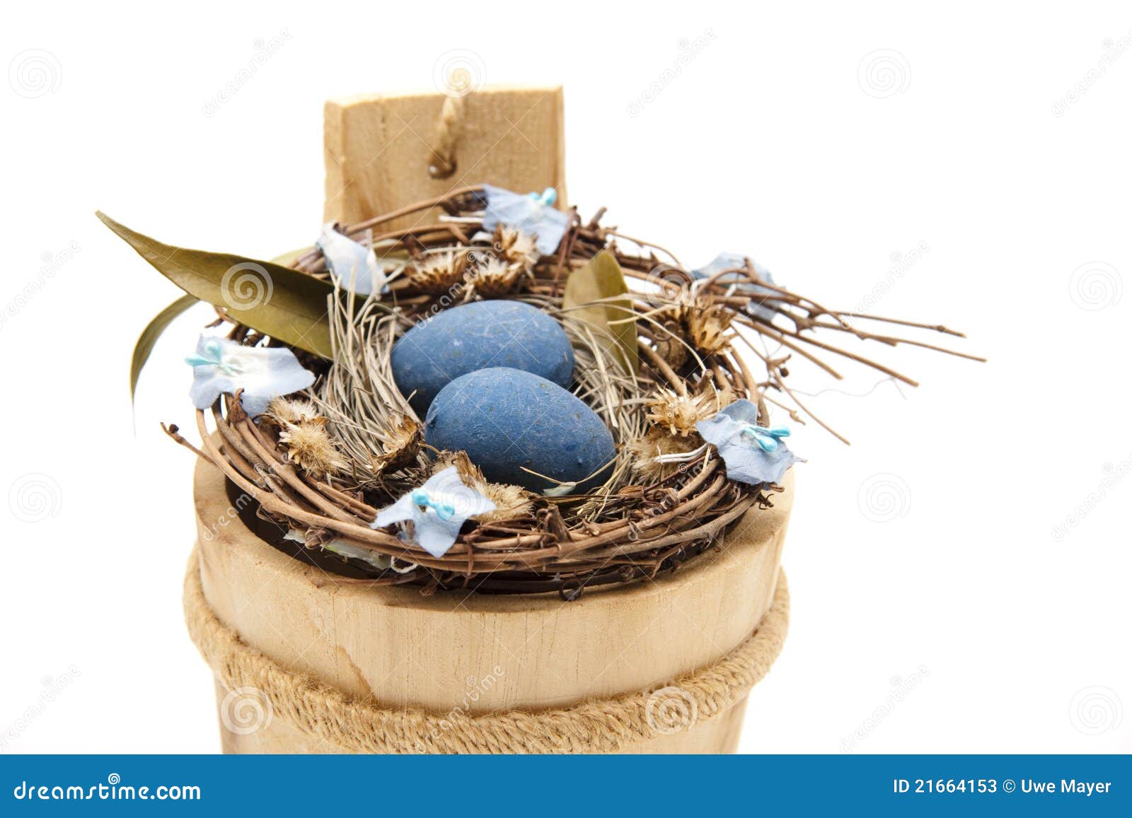 Bird nest with blue eggs stock image. Image of wood, gelege - 21664153