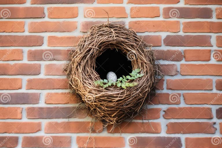 Bird Nest Built Inside a Vent on a Brick Wall Stock Photo - Image of ...