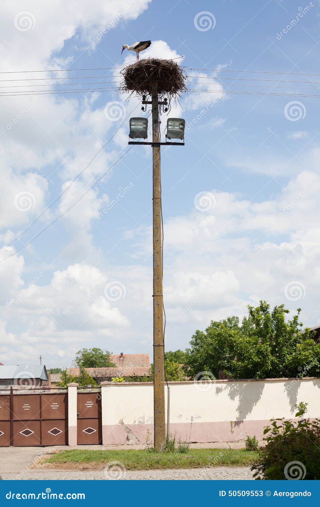 Bird nest on cable pillar stock image. Image of stork - 50509553