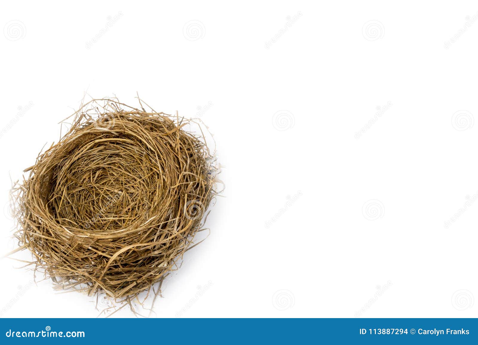 Nest Corner Border With Pink, Rose Gold Stock Photo | CartoonDealer.com ...