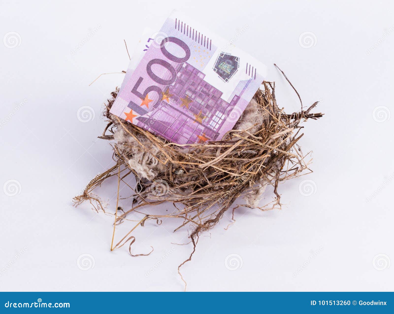 Bird Nest Inside 500 Euro Banknote Isolated on White Background Stock ...