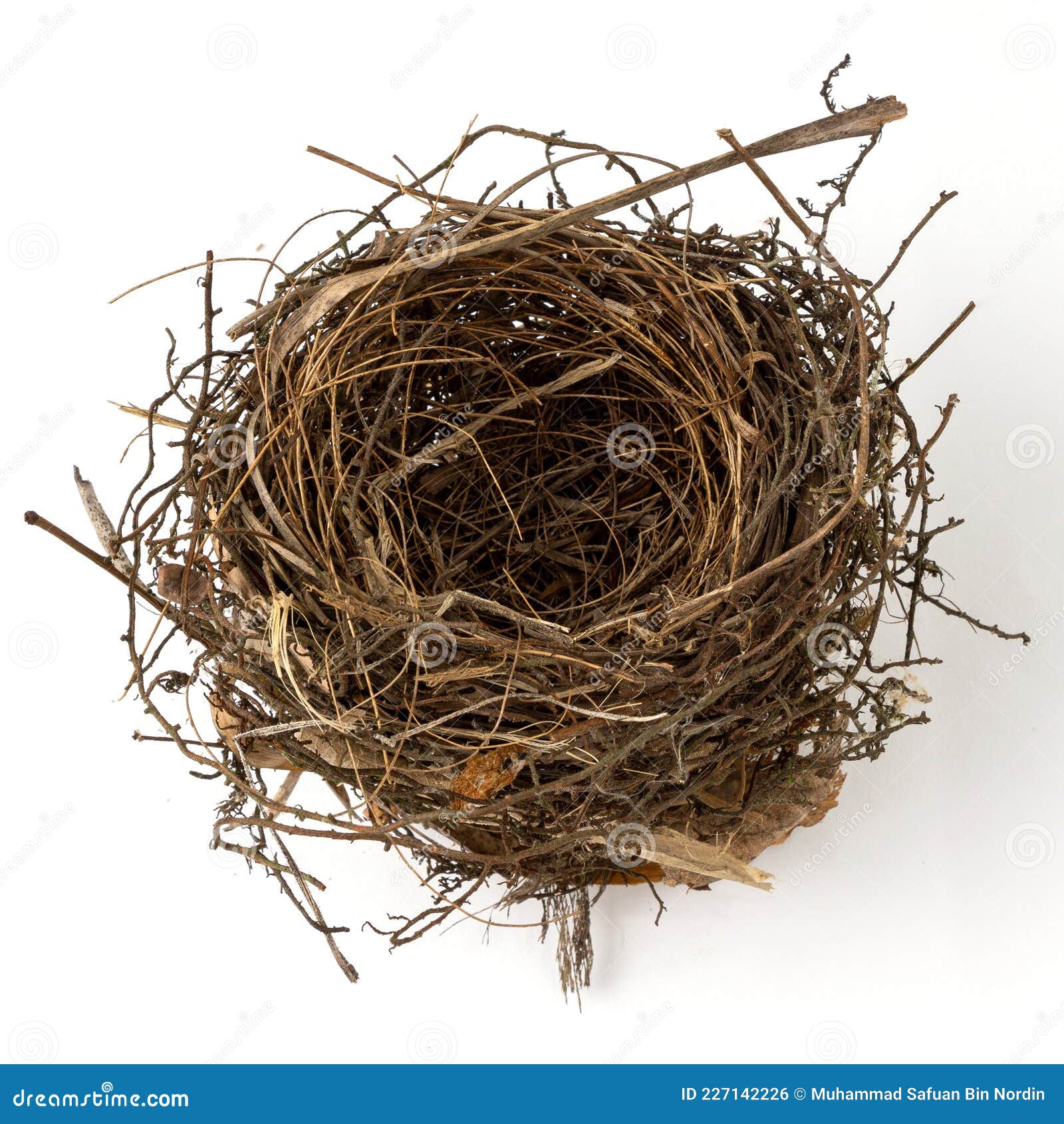 Bird Nest Isolated on White Background Stock Photo - Image of color ...