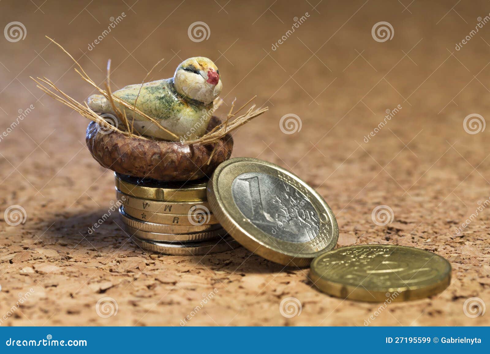 Bird nest on money stock image. Image of earn, euro, credit - 27195599