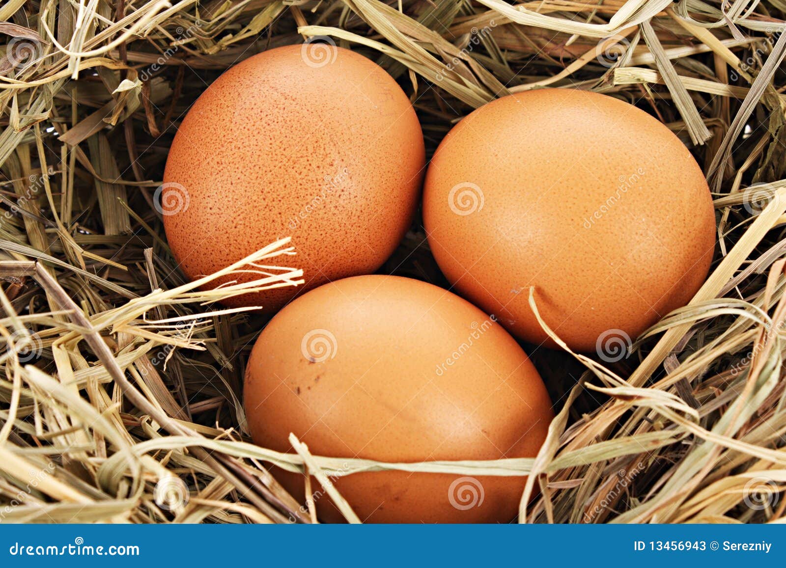 Bird Nest with Three Eggs Isolated Stock Image - Image of closeup ... Bird Nest with Three Eggs Isolated Stock Image - Image of closeup ...