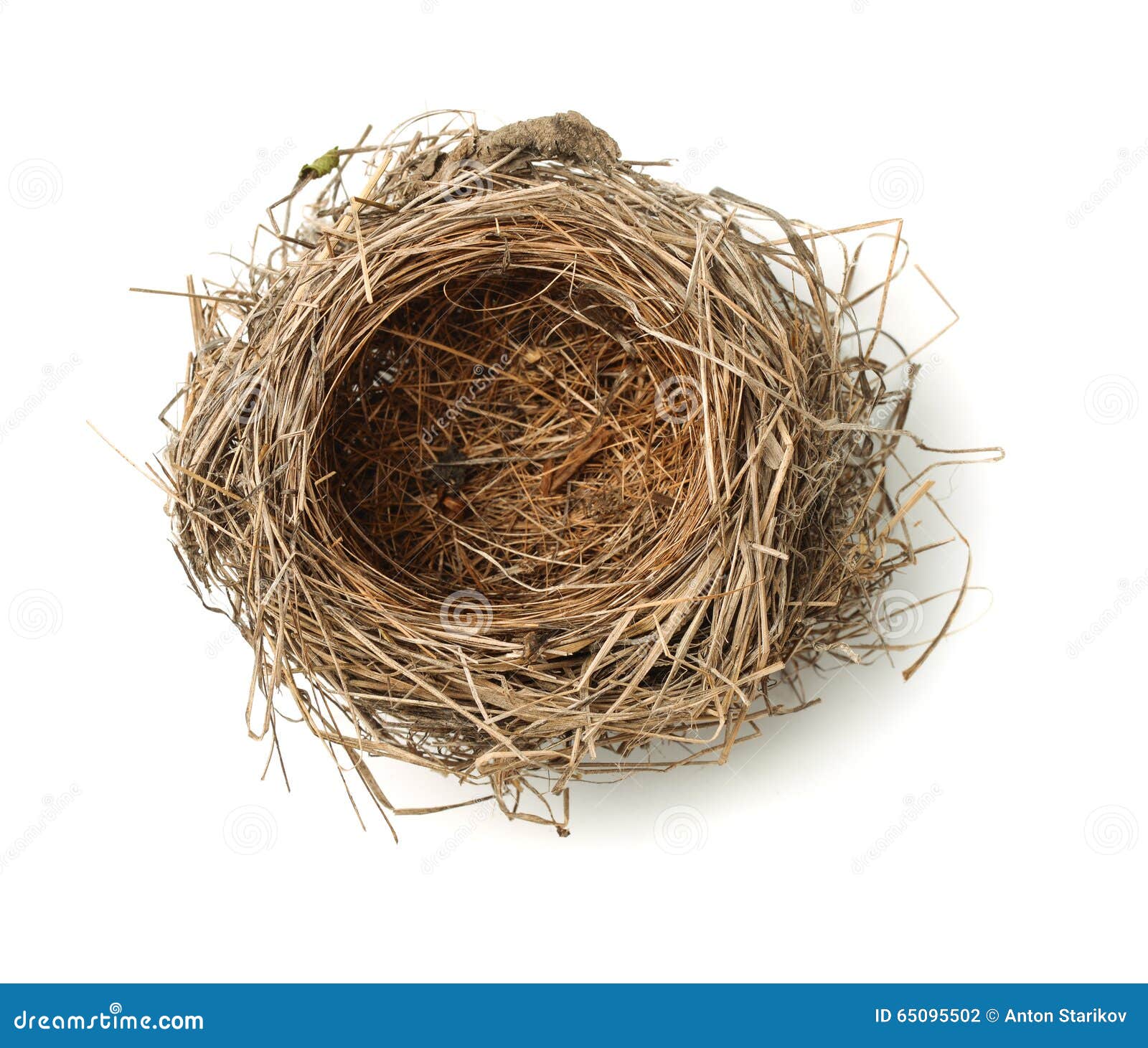 The Bird's Nest Is On The Base Of 115kV Earthing Switch Royalty-Free ...