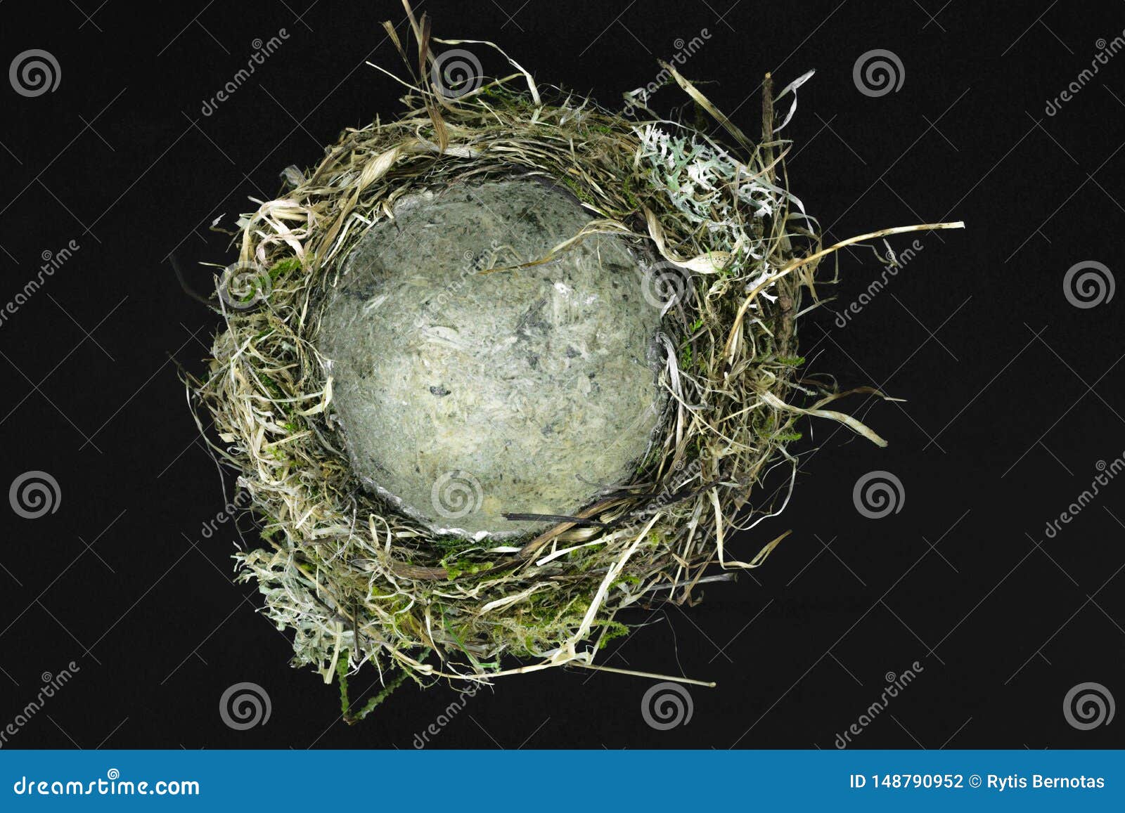 Bird nest stock photo. Image of animal, chicks, brown - 148790952