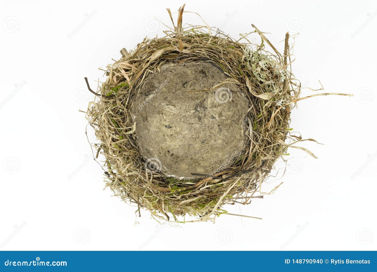 Bird nest stock photo. Image of natural, details, nature - 148790940
