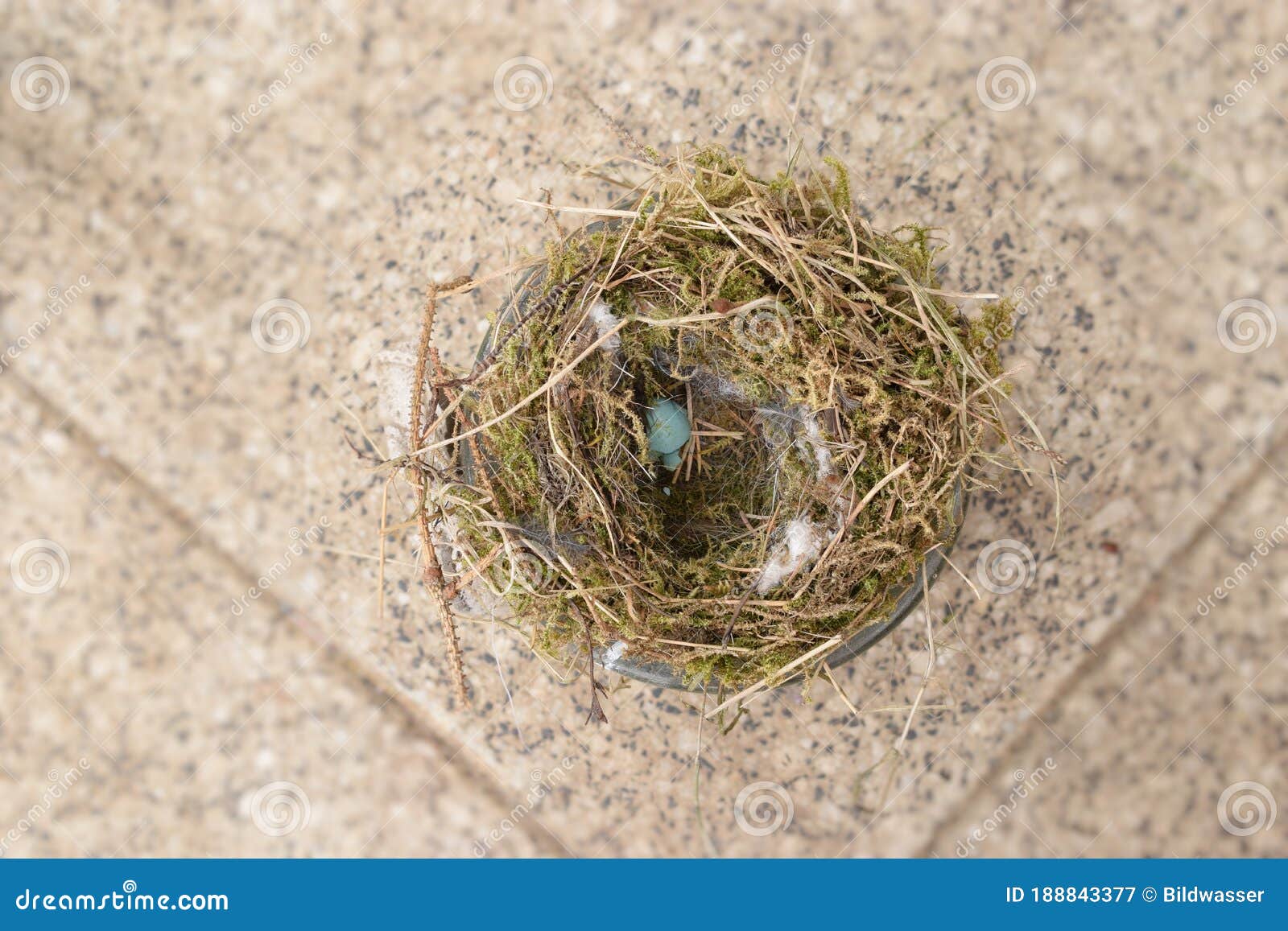 Bird Nest Top View. Nature Background Stock Image - Image of concepts ...