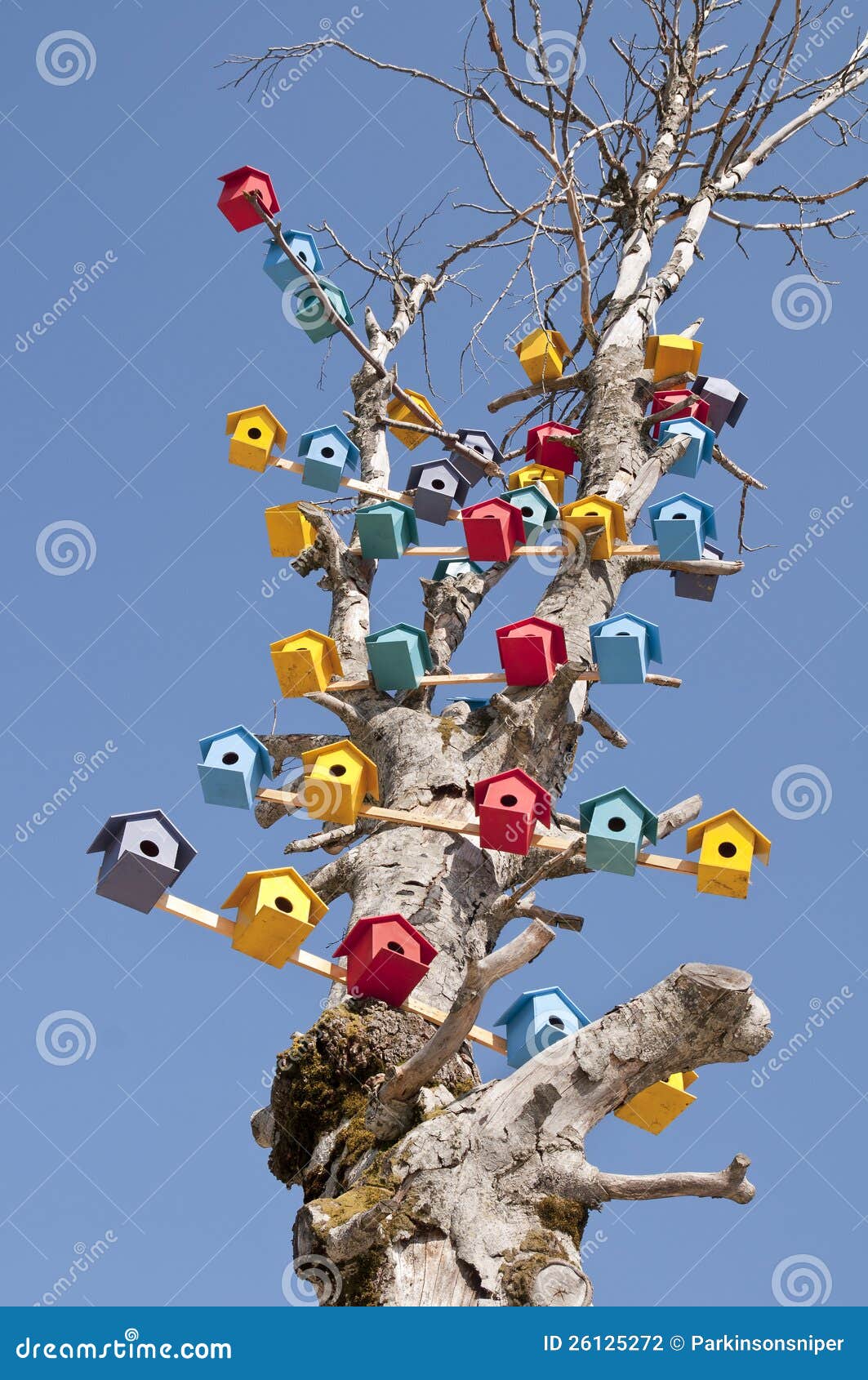 Bird Nest on a Tree stock photo. Image of grey, vertical - 26125272