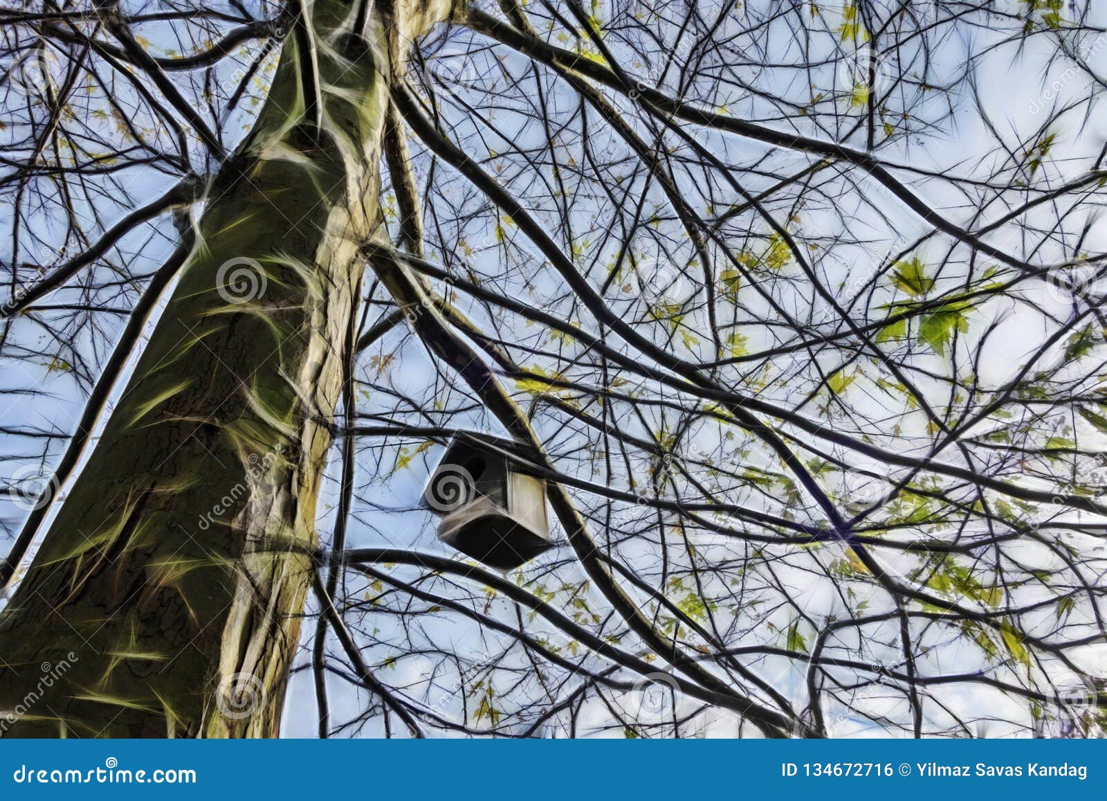 Bird nest at tree branches stock photo. Image of autumn - 134672716