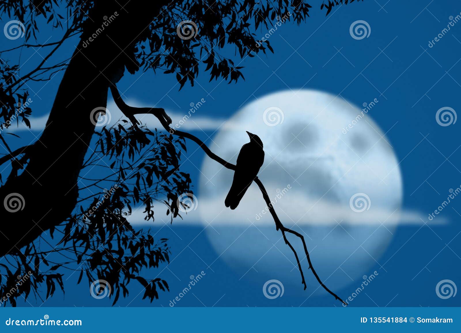 Bird at Night in Front of Full Moon Stock Photo - Image of bird, moon ...