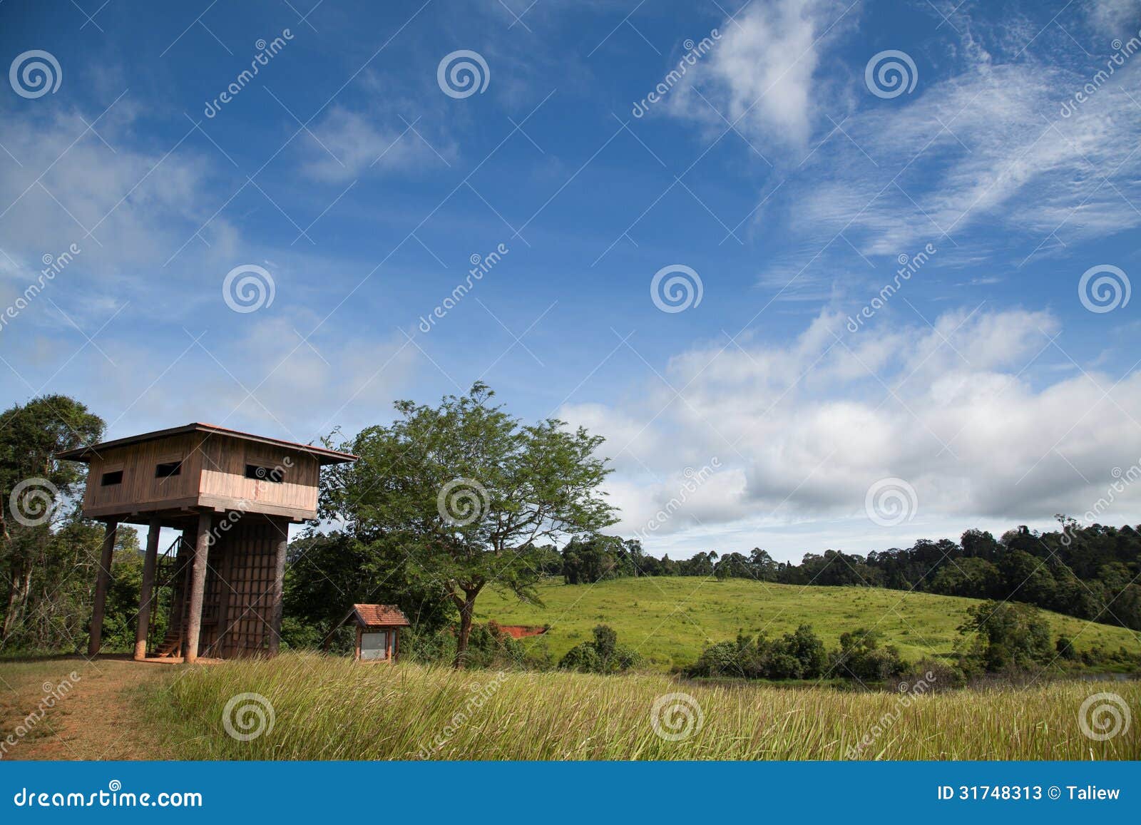 Bird observatory stock image. Image of natural, cloud - 31748313