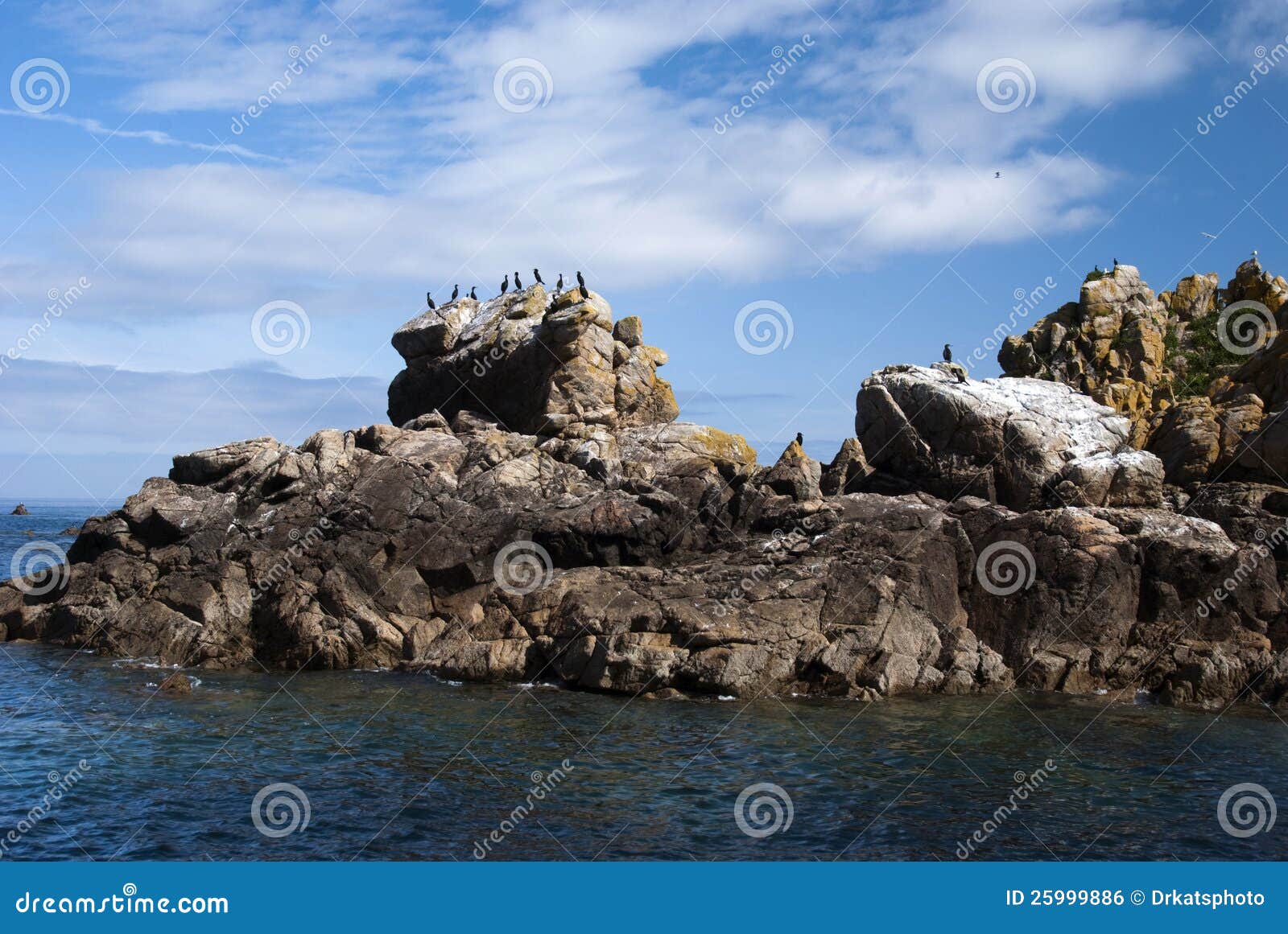 Bird outpost stock photo. Image of colony, seabirds, sanctuary - 25999886