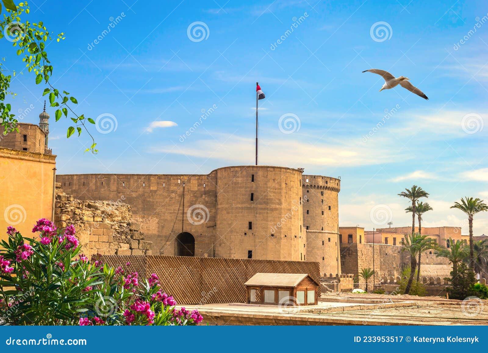 Citadel in Cairo stock image. Image of fort, cairo, african - 233953517