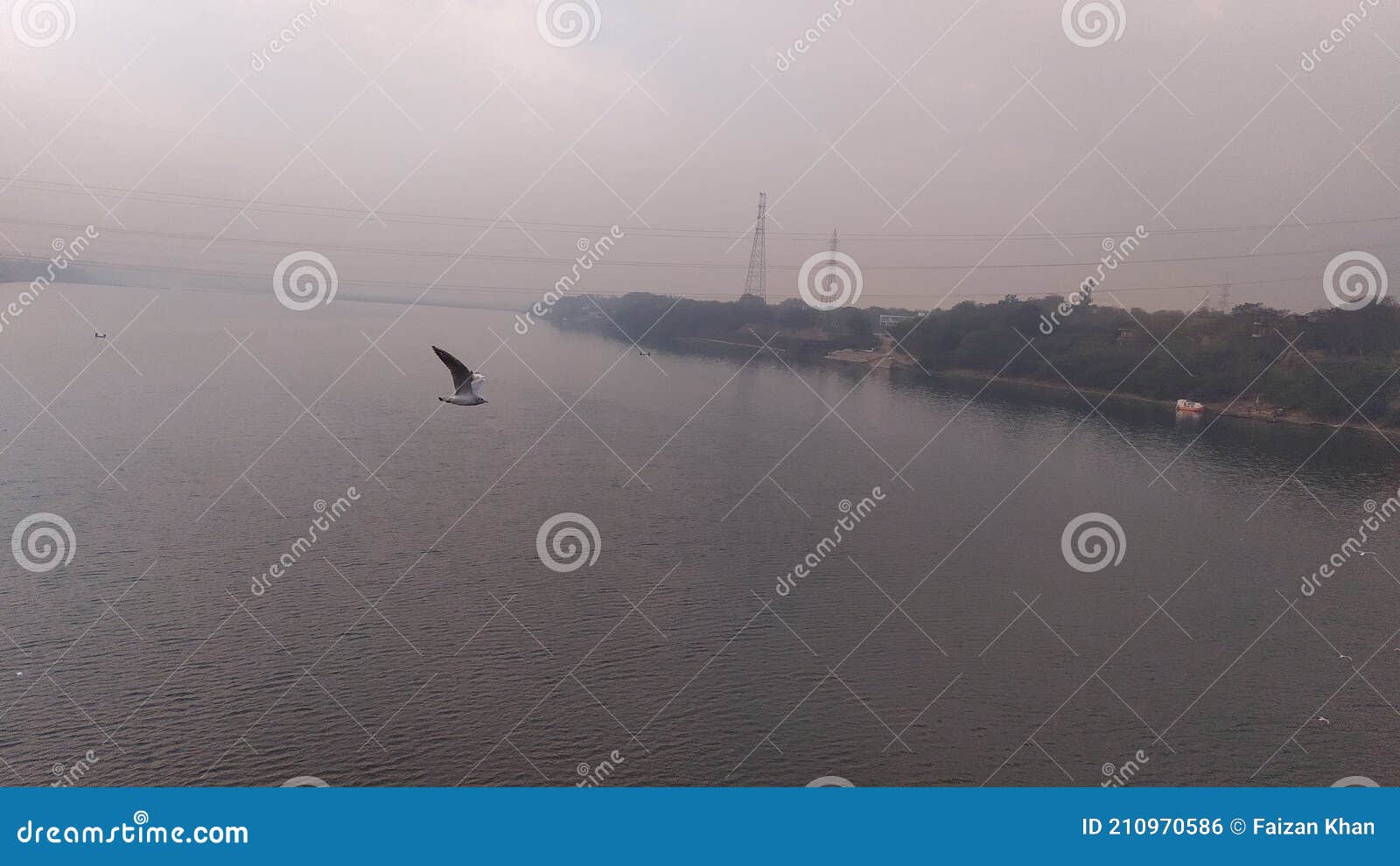 Bird over big River stock photo. Image of snow, wave - 210970586