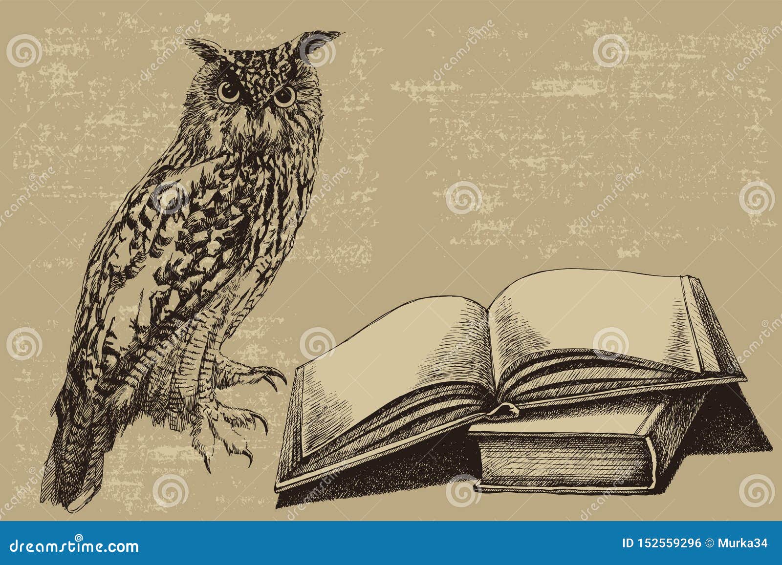 Bird Owl with an Open Book. Hand-drawn, Vector Illustration Stock ...