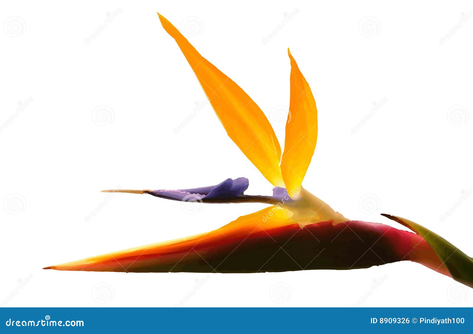 Vectorized Bird Stock Photos - Free & Royalty-Free Stock Photos from ...