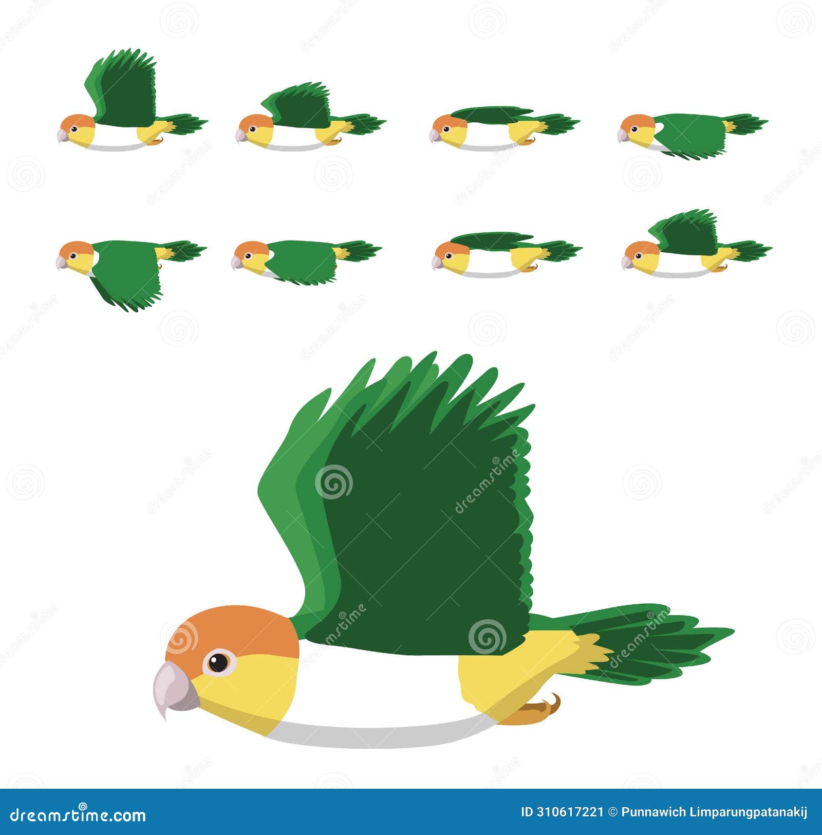 Cartoon Caique Parrot On White Background | CartoonDealer.com #262978733