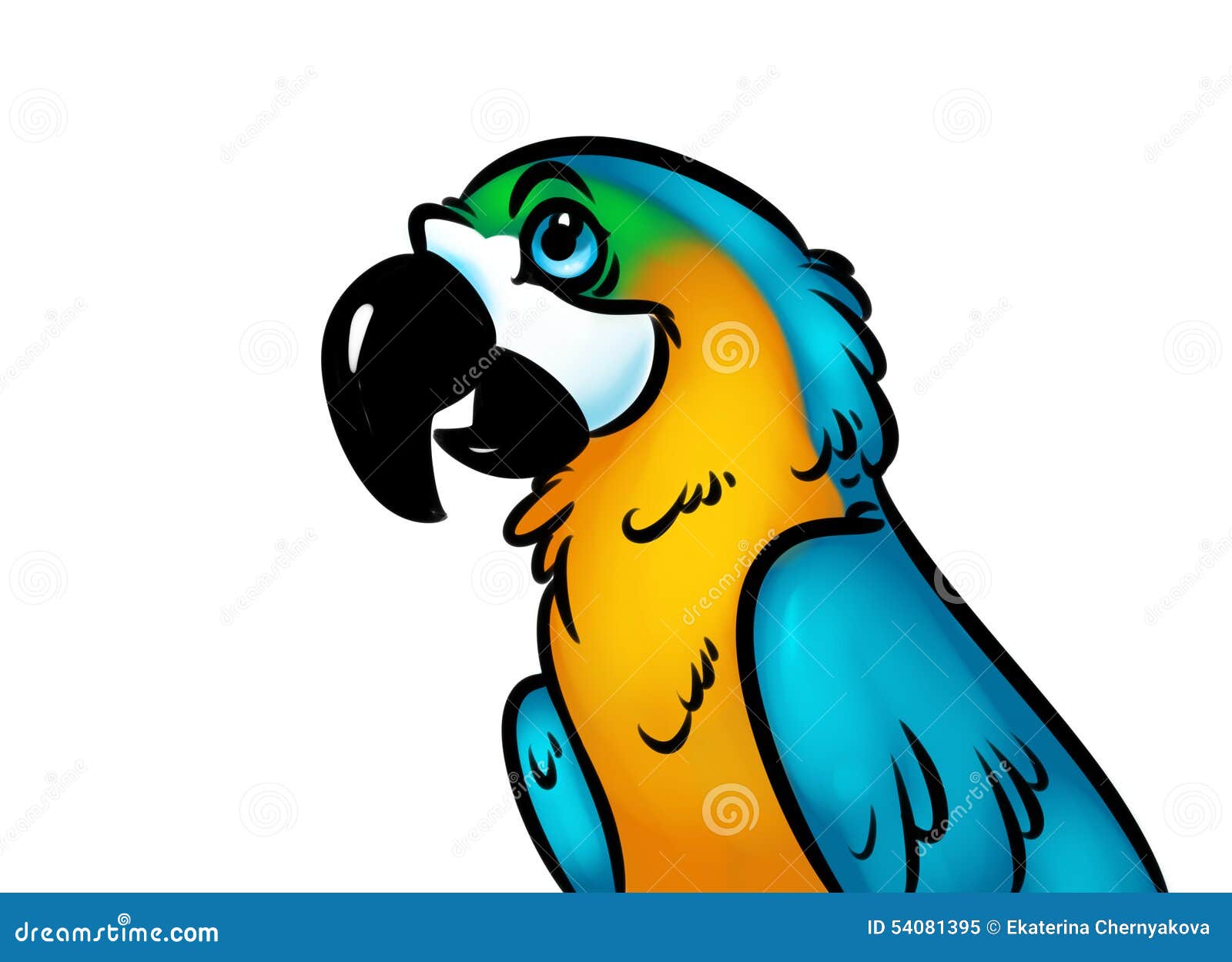 Bird Parrot Cartoon Illustration Stock Illustration - Illustration of ...