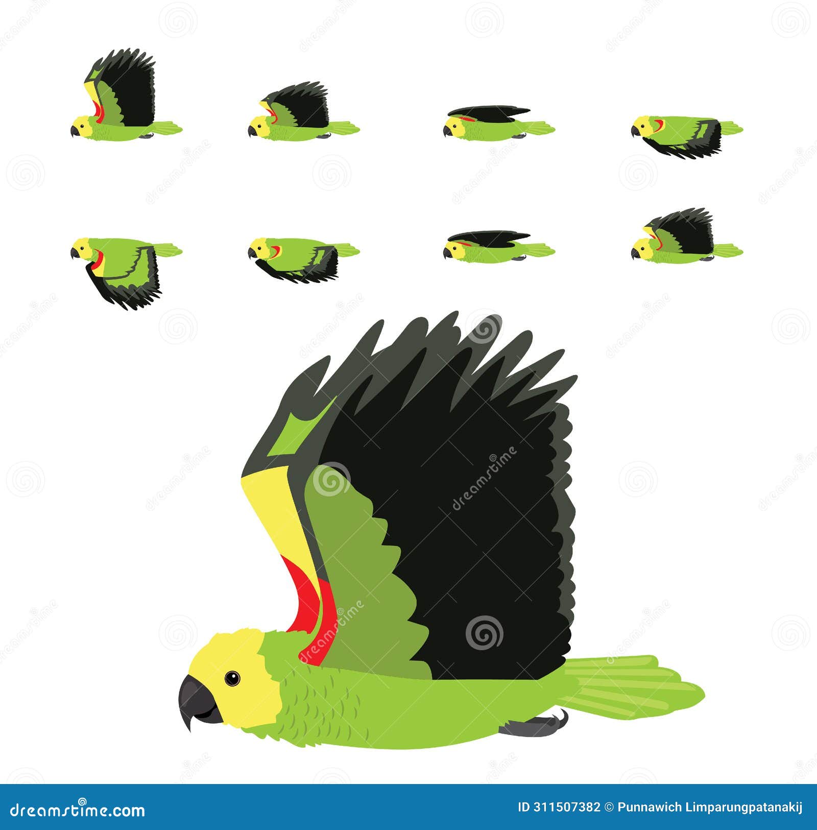 Bird Parrot Yellow-Headed Amazon Flying Animation Sequence Cartoon ...