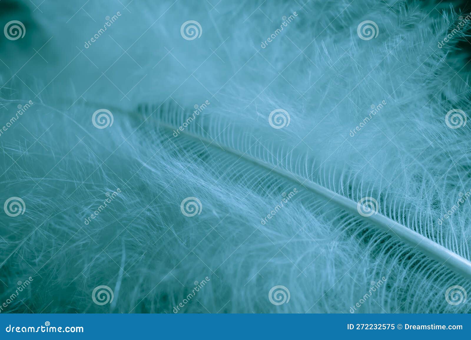 Bird Pen Falling in the Dark Stock Image - Image of animal, floating ...