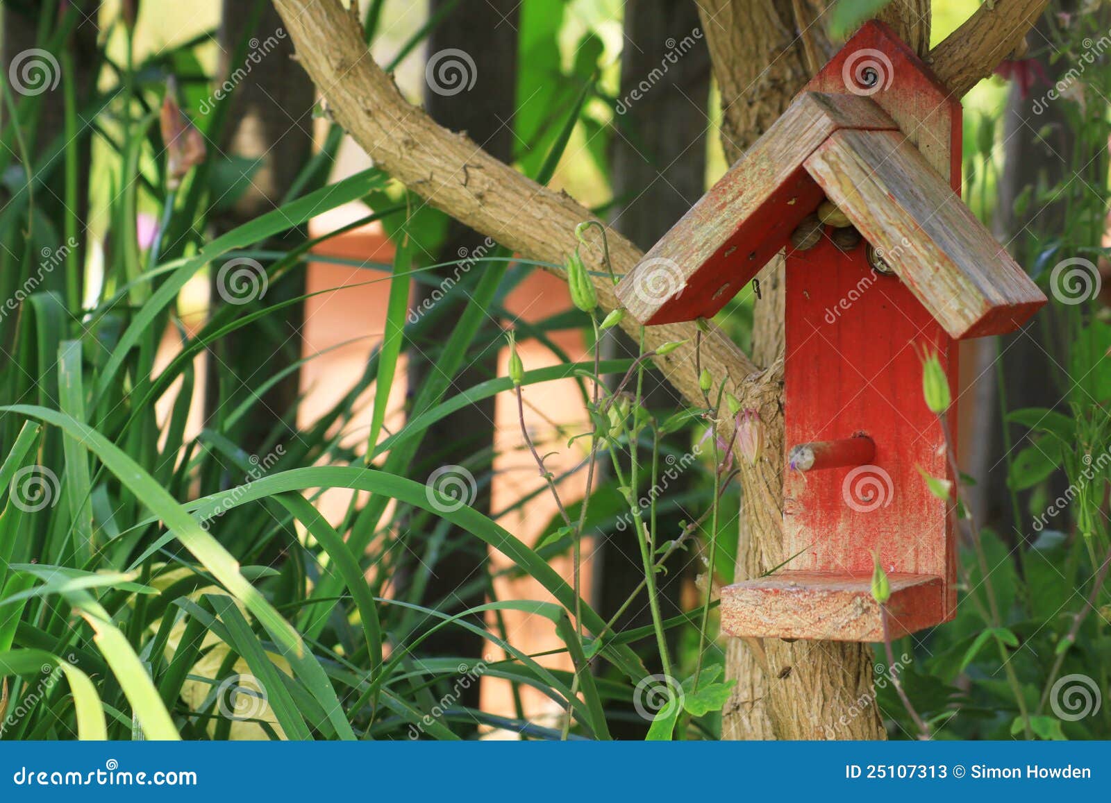 Bird Perch stock image. Image of tree, protection, wood - 25107313