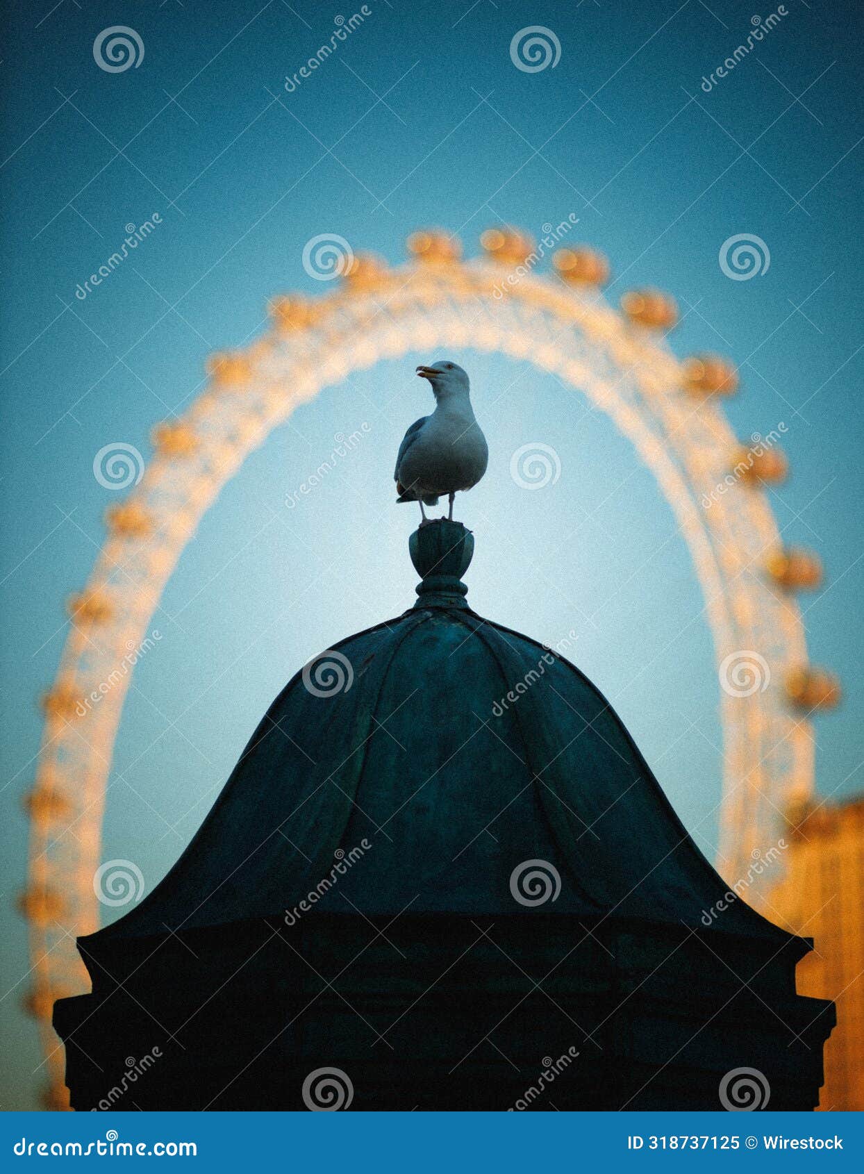 Bird Perched on a Dome with a Ferris Wheel in the Background. Editorial ...