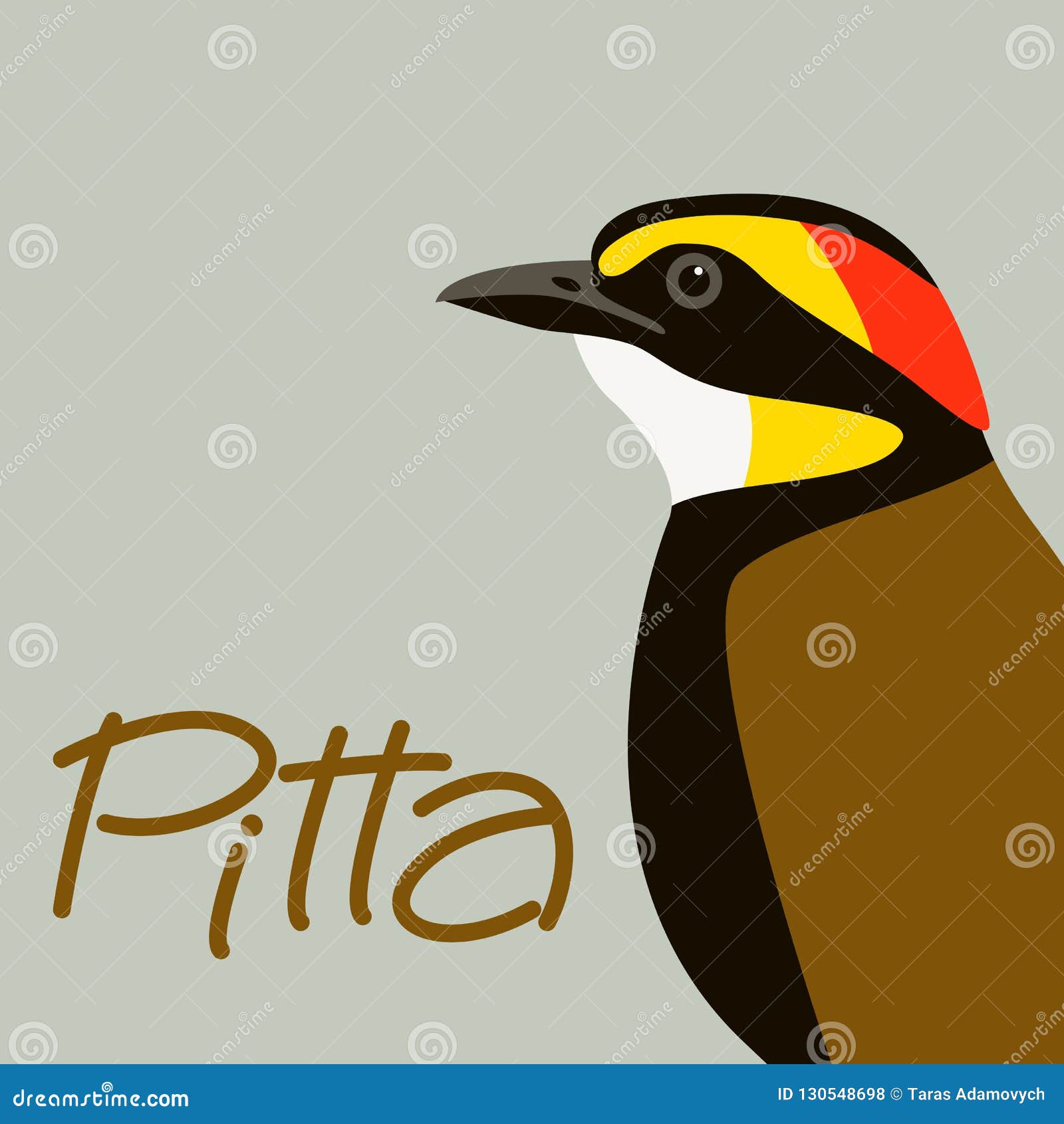 Hooded Pitta Bird Learn To Draw Vector | CartoonDealer.com #63668670