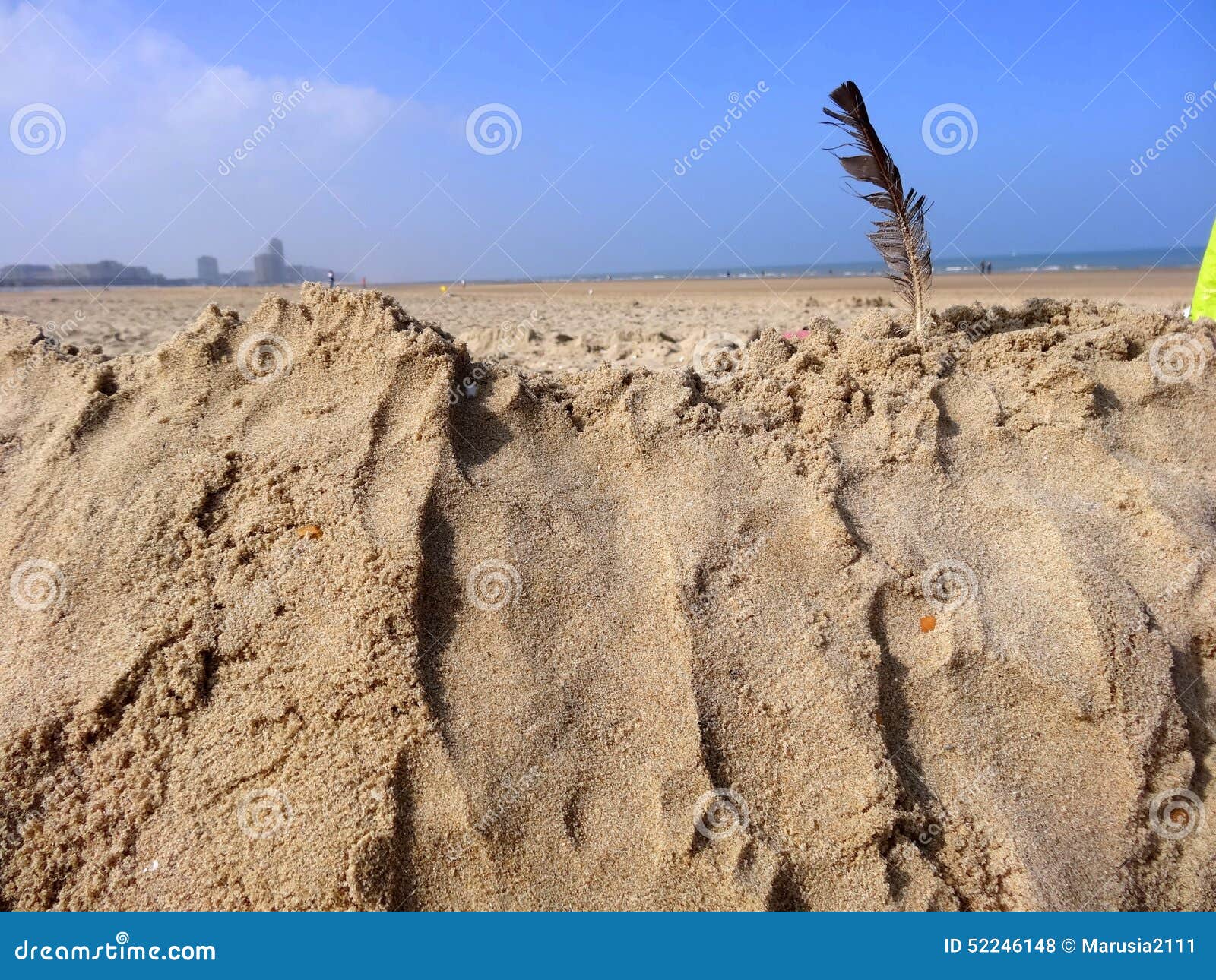 Bird plume on the sand stock photo. Image of time, plume - 52246148