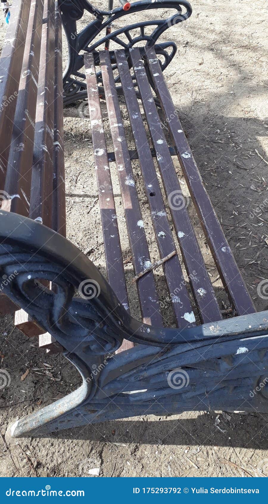Bird Poo Covered Park Bench Stock Photo - Image of bird, space: 175293792