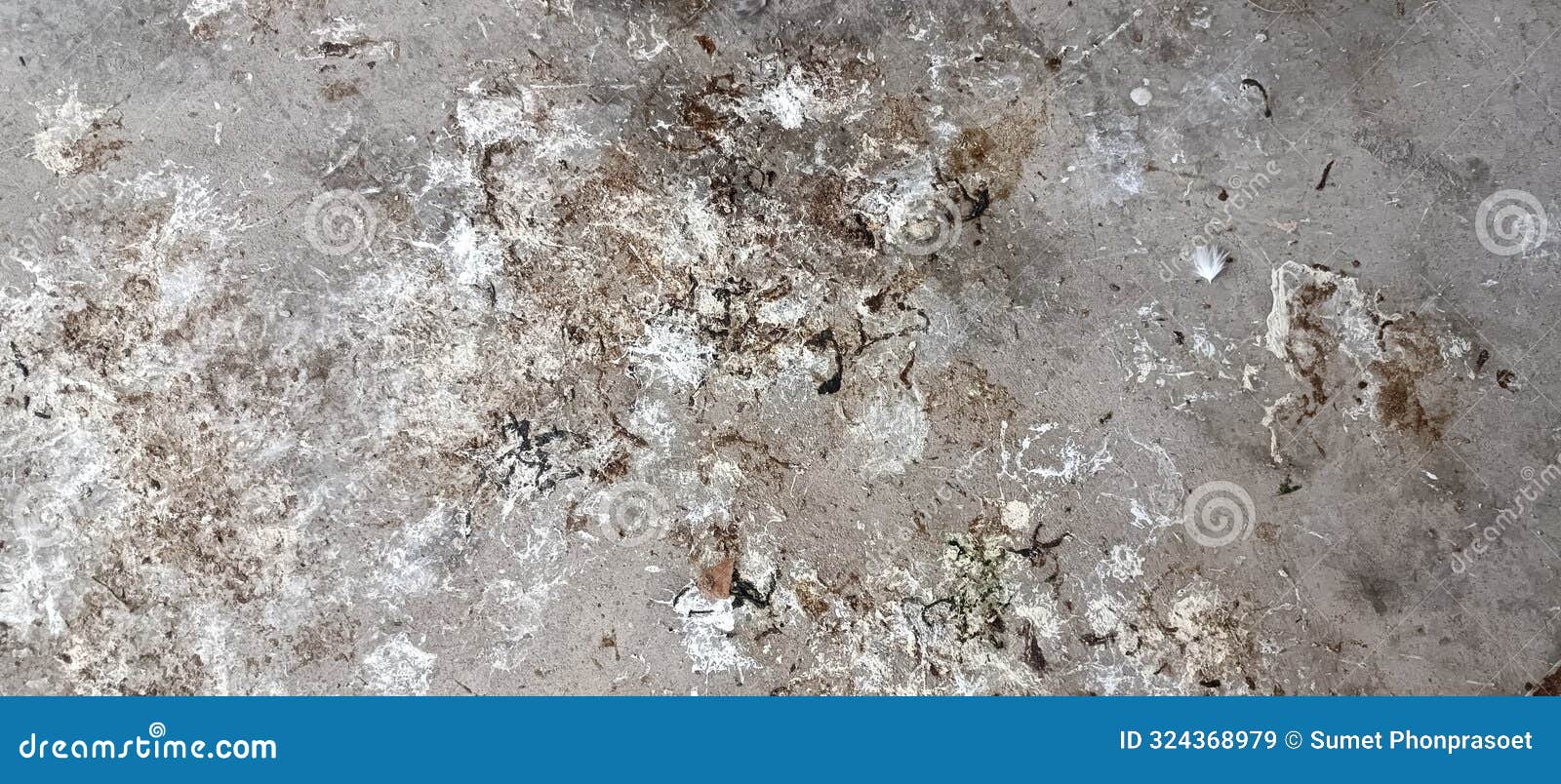 Bird Poop Background on a Vintage Style Cement Background. Stock Image ...