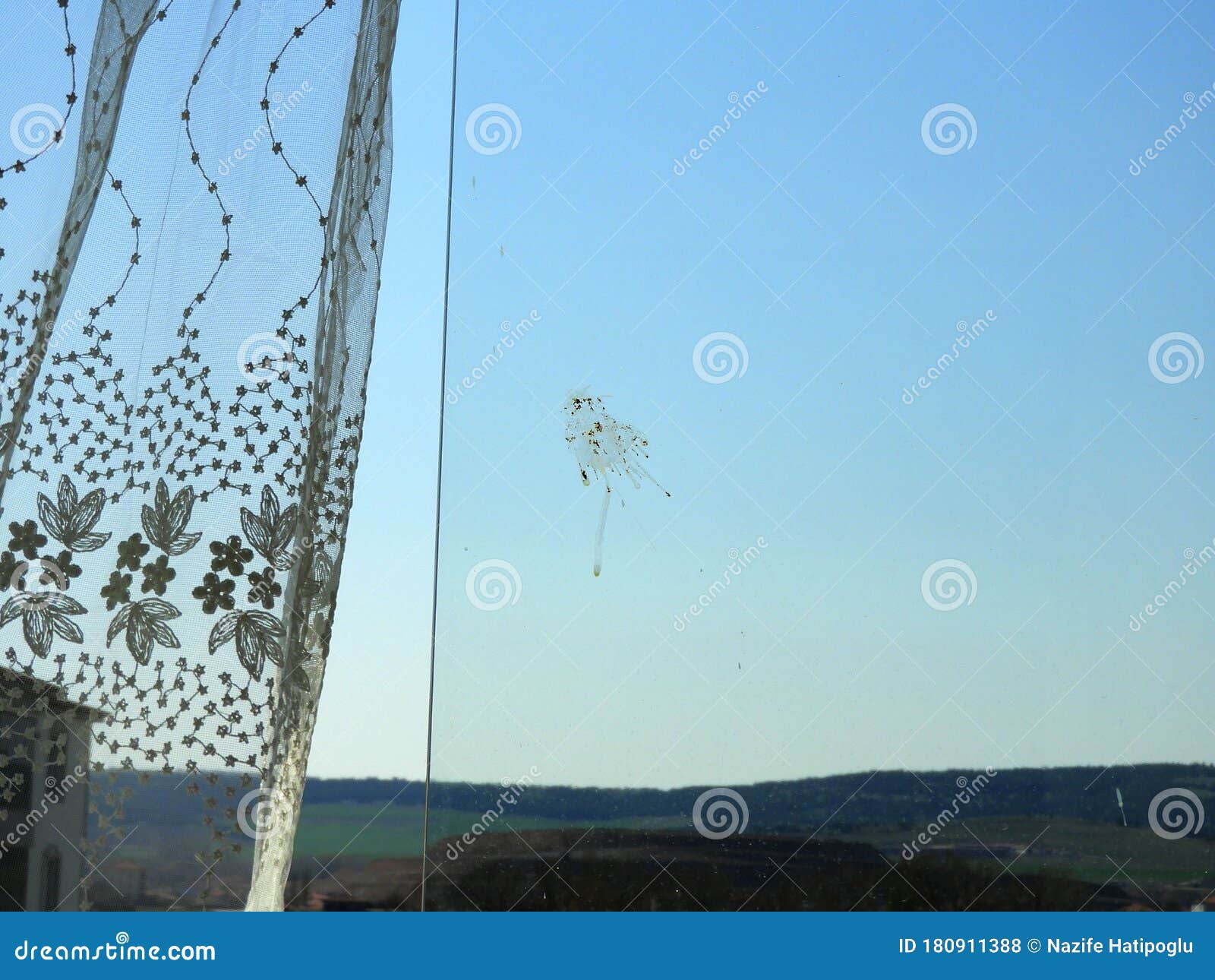 Bird Poop on Balcony Glass, Bird Poop on Glass, Dirty Balcony Glass ...